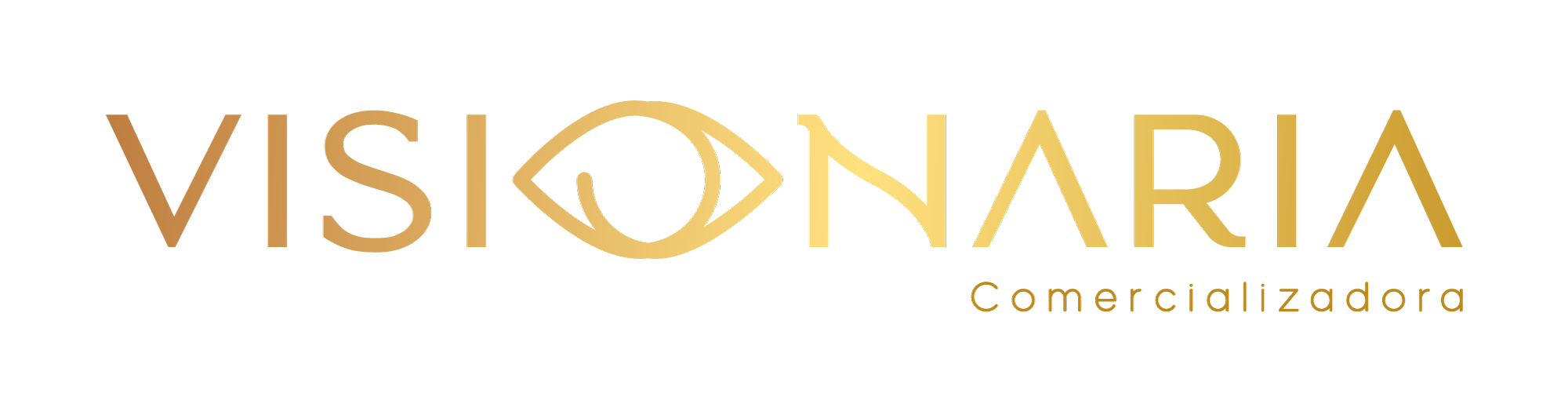 Visionaria SPA :: Ingreso ...